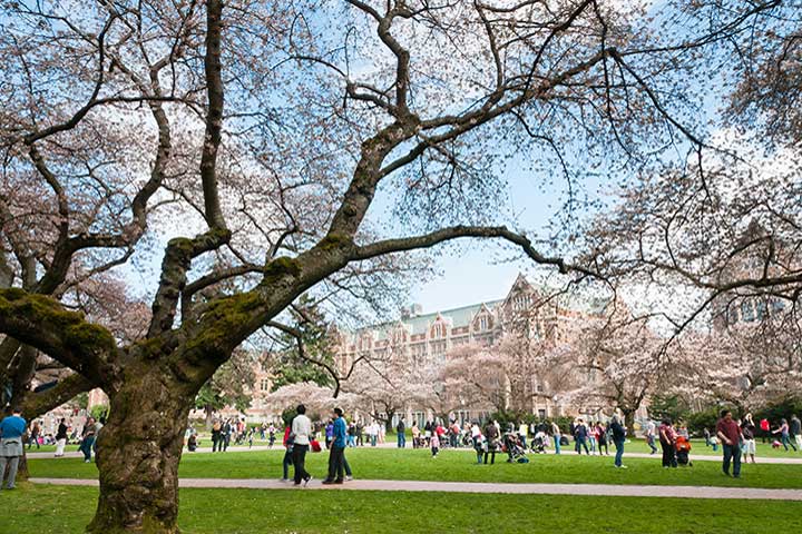 Building new facilities on university yard - Accessqueens